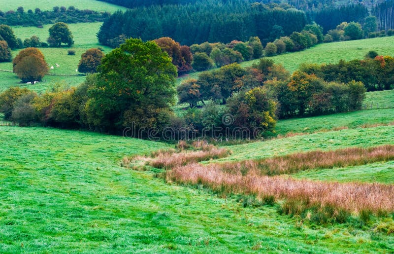 Autumn country landscape stock image. Image of peace, fields - 3236631