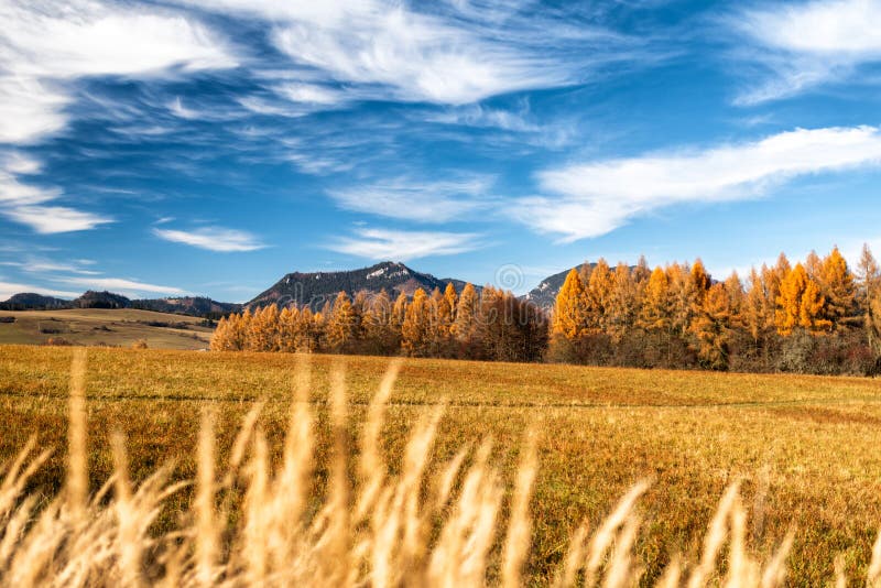 Autumn Country Landscape with Clouds on Sky Stock Photo - Image of ...