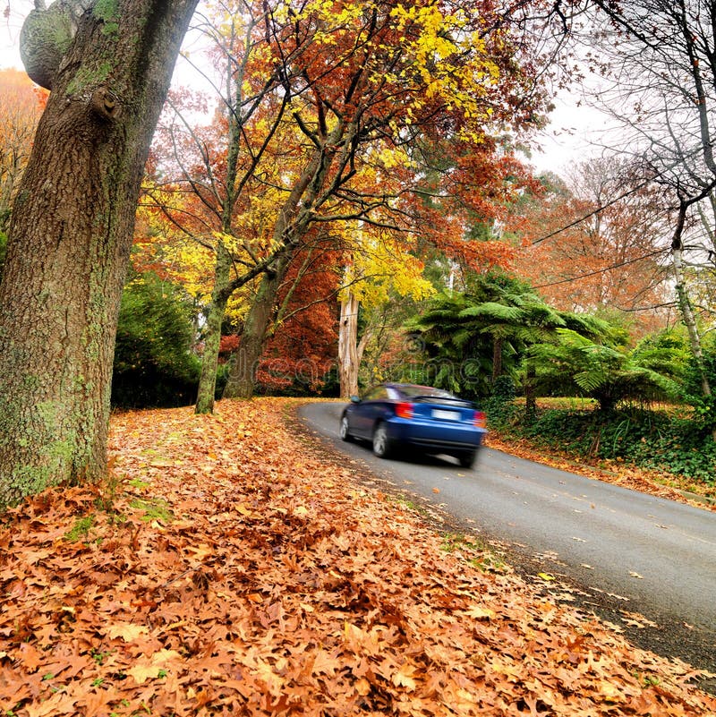 Autumn driving stock photo. Image of drive, countryside - 34371324