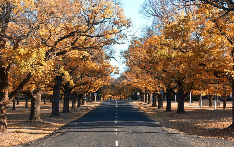 Autumn country road stock image. Image of path, colorful - 6505217