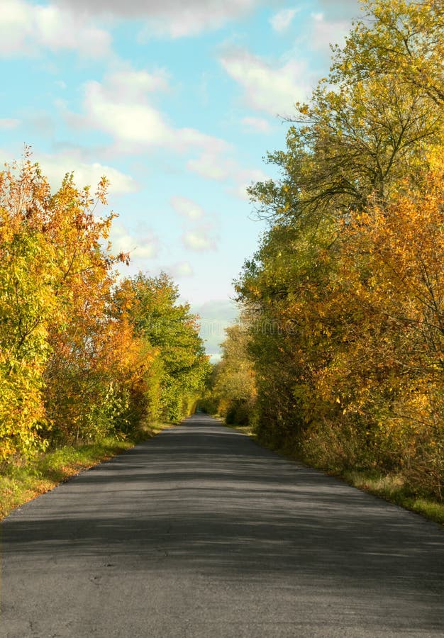 Autumn Country Road With Colorful Trees Stock Image - Image of journey ...
