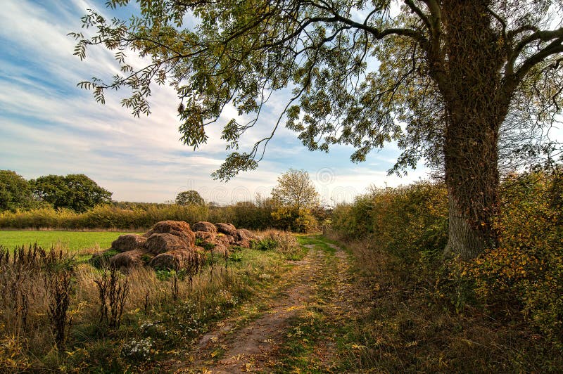 Autumn Countryside stock photo. Image of fall, autumnal - 29628584