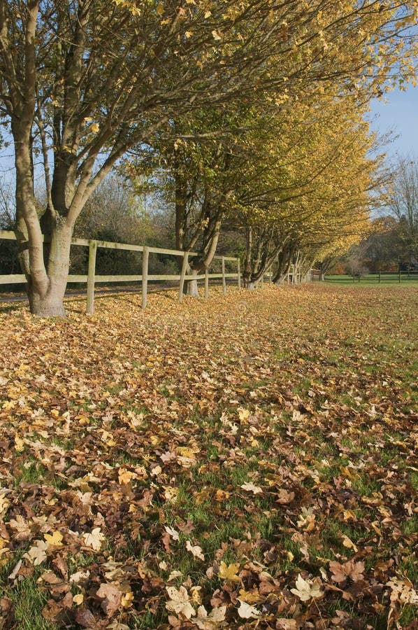 Autumn countryside colours stock photo. Image of colorful - 22300012