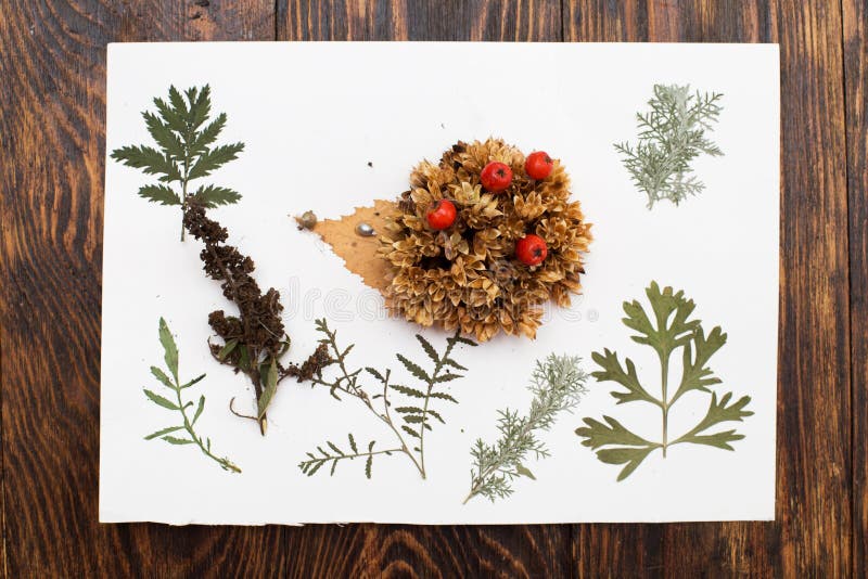 Autumn Crafts Hedgehog Made from Dry Leaves. DIY Stock Photo - Image of ...