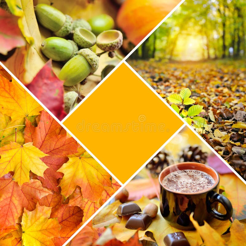 Autumn Creative Collage of Photos. Autumn Concept with a Central Main ...