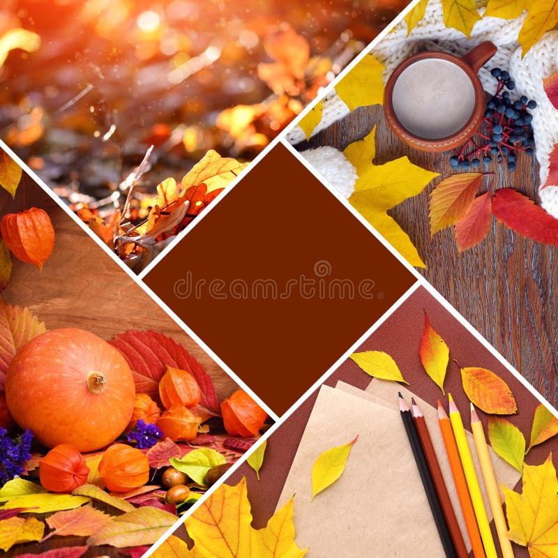 Autumn Creative Collage of Photos. Autumn Concept with a Central Main ...