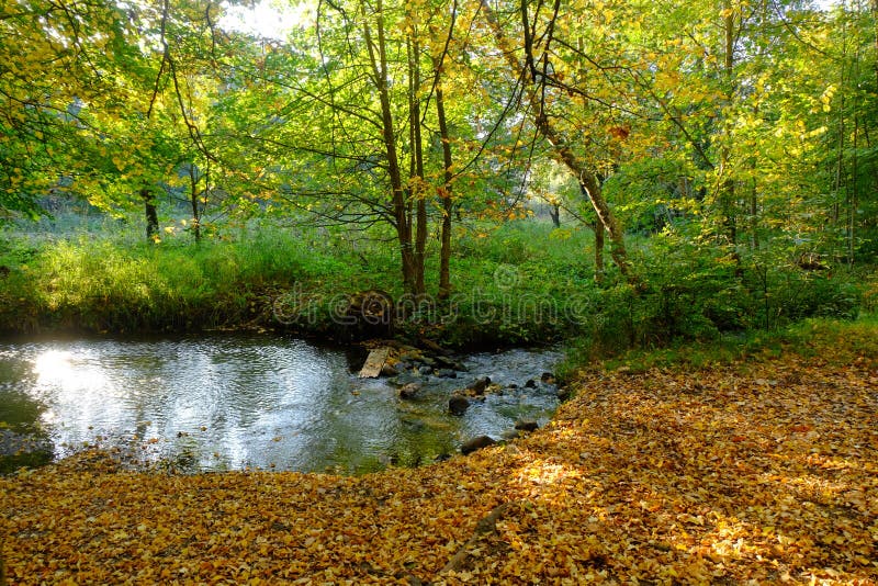 Autumn creek stock image. Image of beck, change, brown - 60901849