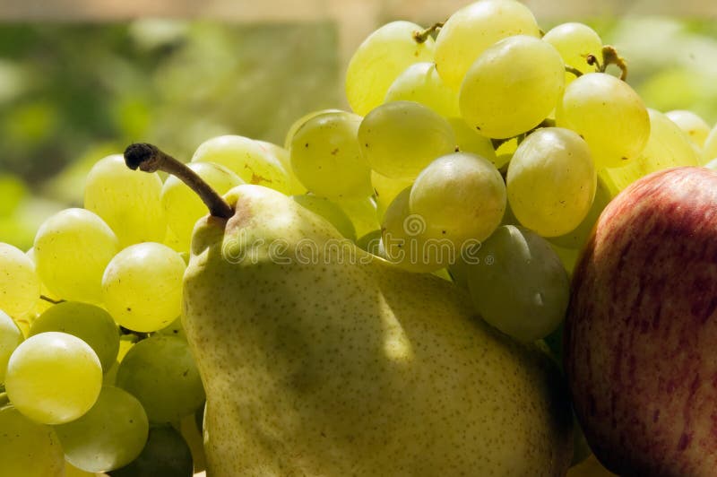Autumn crop stock image. Image of healthy, harvesting - 4125569