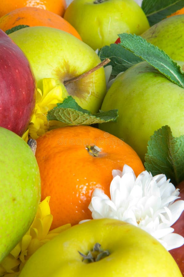 Autumn crop - corn stock photo. Image of food, sweet, romania - 20