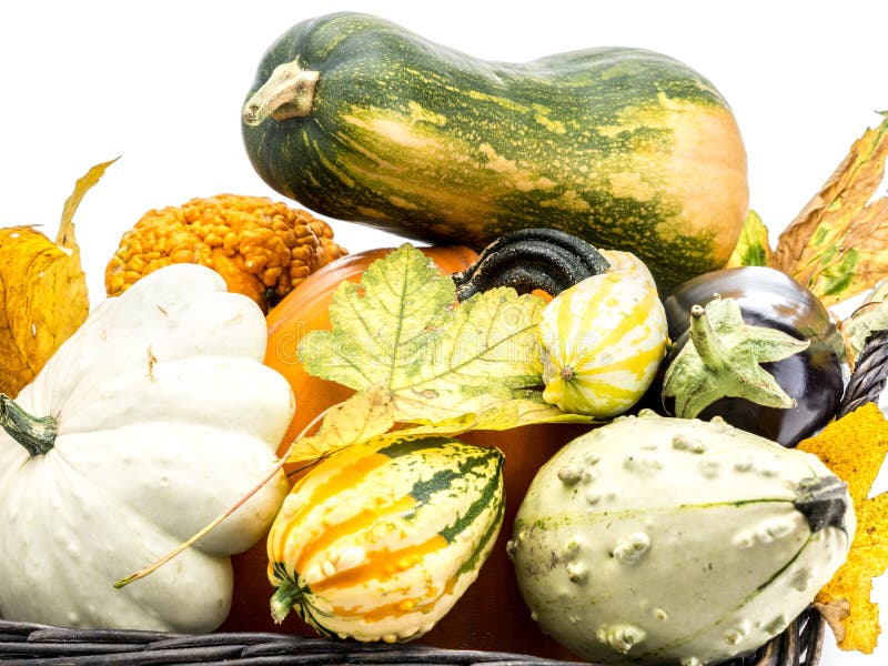 Autumn crops stock image. Image of halloween, still, zucchini - 59610571
