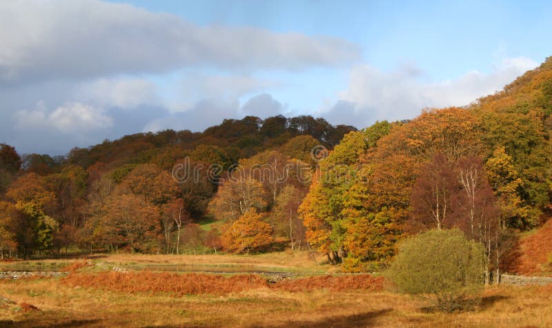 Autumn in Cumbria. stock image. Image of countryside, peace - 6957379