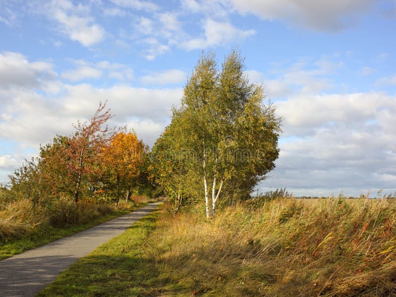 Autumn cycle path stock photo. Image of clouds, leisure - 11326718