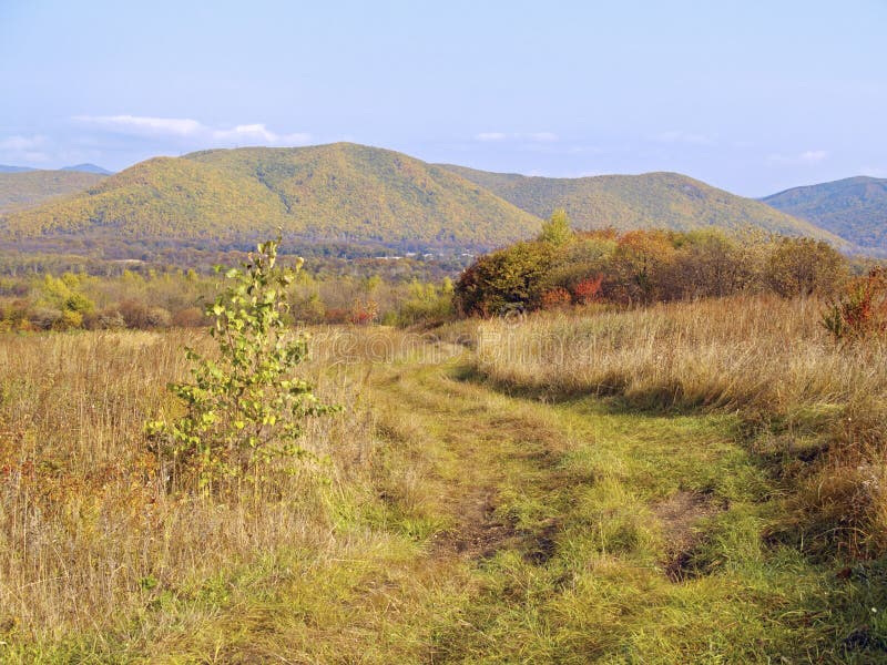 Autumn day on a hill slope stock image. Image of deserted - 23110069