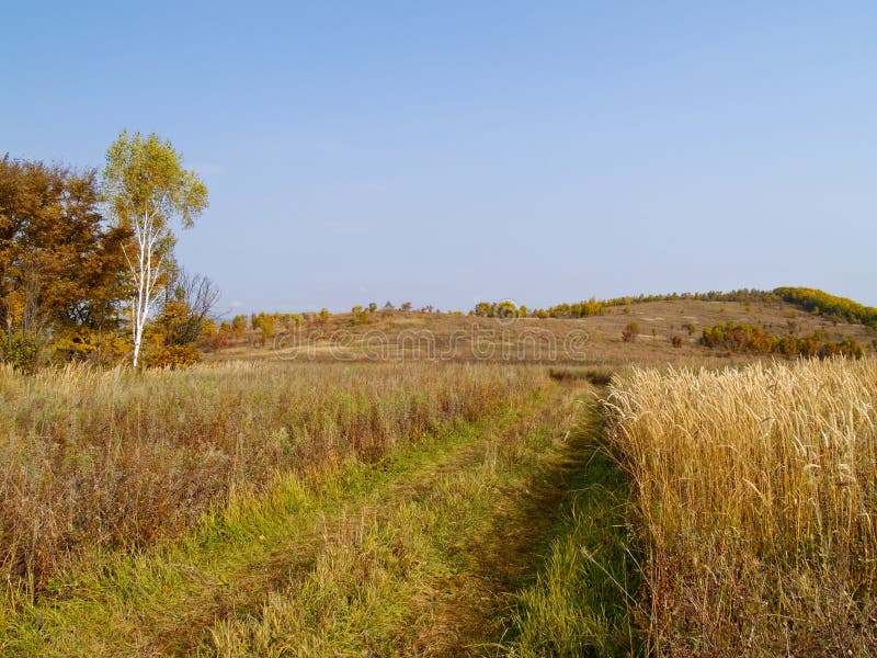Autumn day on a hill slope stock image. Image of blue - 23110111