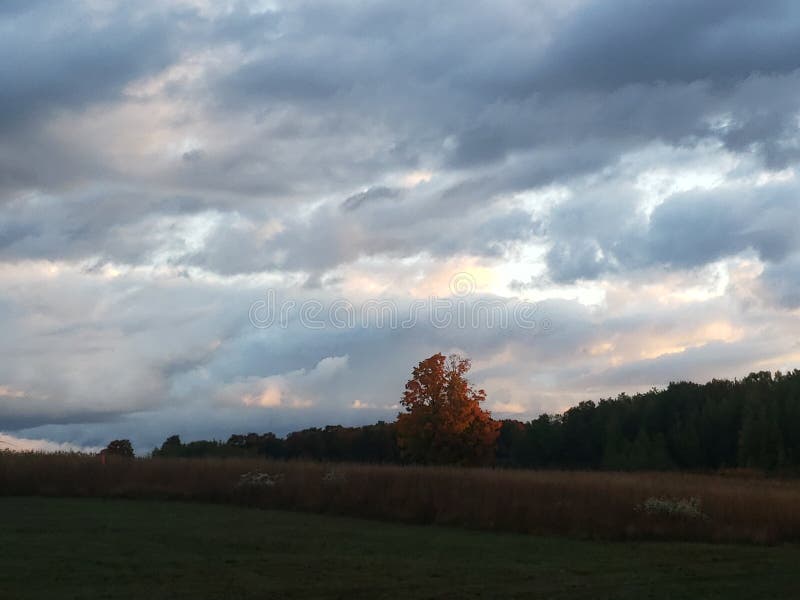 Autumn Days stock photo. Image of evening, days, plain - 202226834