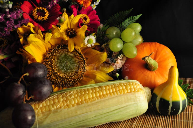 Autumn Fruit 4 stock photo. Image of grapes, plant, black - 1379894