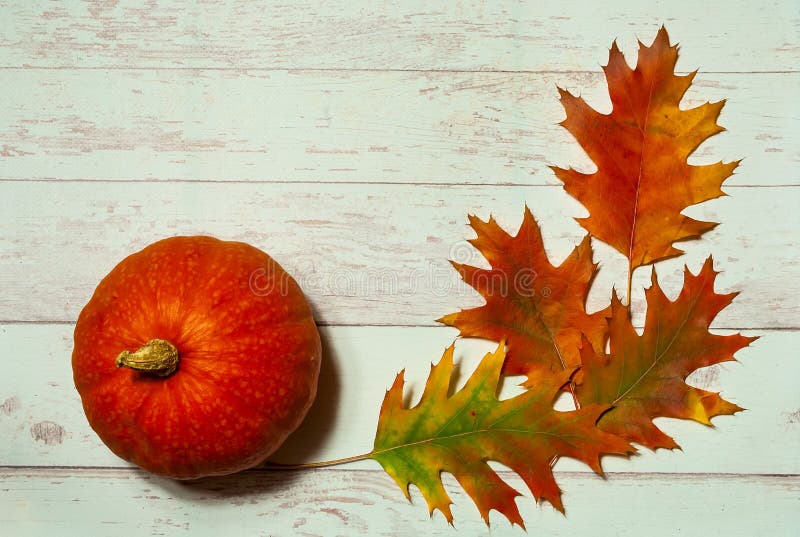Autumn Decor. Bright Leaves on Light Background,copy Space Stock Photo ...