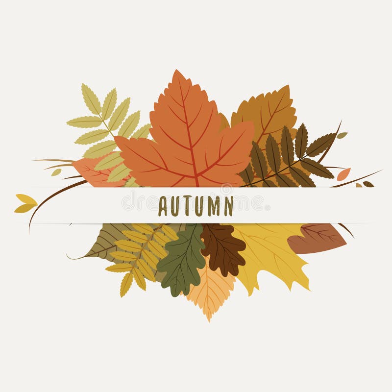 Autumn decorations stock vector. Illustration of decoration - 60658956