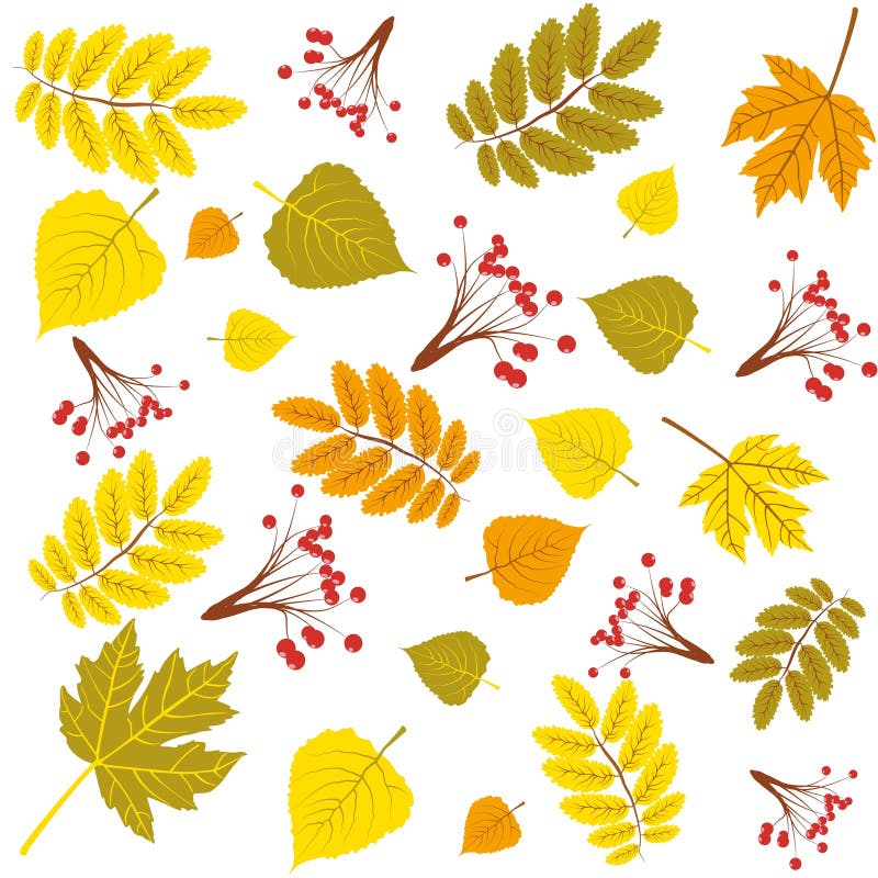 Autumn Decorative Rowanberry Seamless Pattern. Simple Fall Berries ...