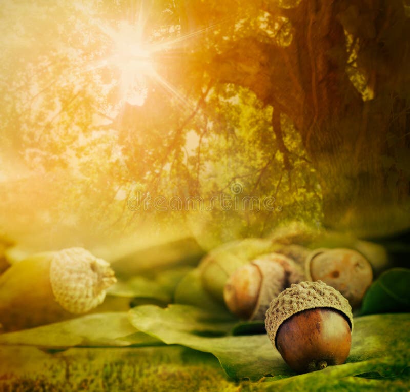 Autumn design - Dear diary stock image. Image of leaves - 26332635