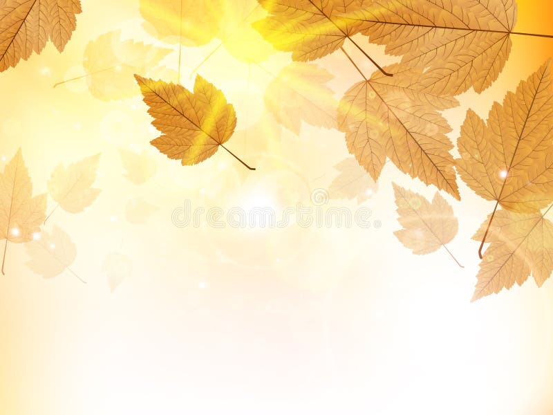 Autumn Design Background with Leaves Stock Vector - Illustration of ...