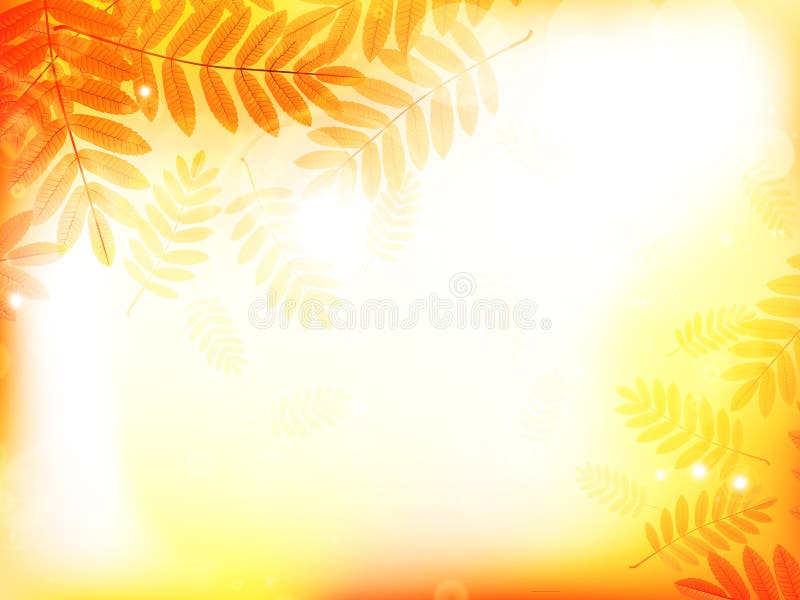 Autumn Design Background with Leaves Stock Vector - Illustration of ...