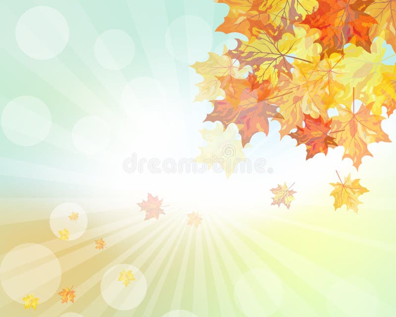 Autumn design stock vector. Illustration of bright, fall - 60021787