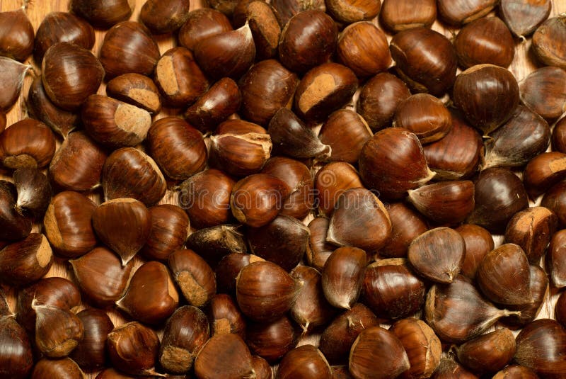Autumn Details. Chestnuts with Shell Stock Photo - Image of chestnuts ...