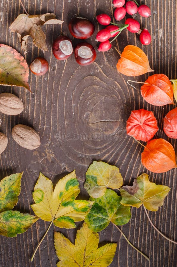 Autumn details and colors stock image. Image of dinner - 101583381