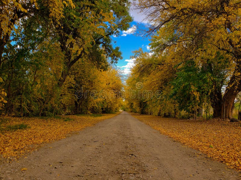Autumn dirt road stock photo. Image of blue, clouds - 164490608