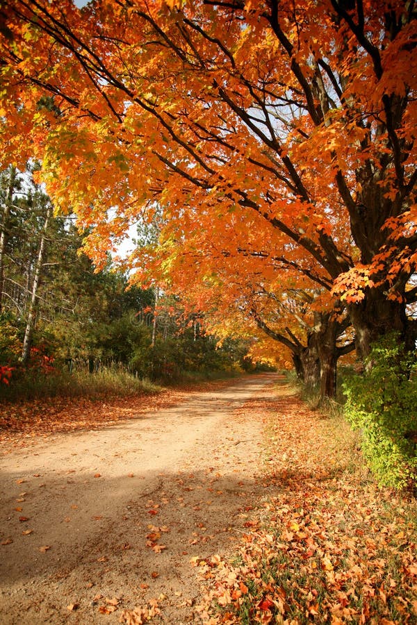 Autumn Dirt Road stock image. Image of brilliant, rural - 18288949