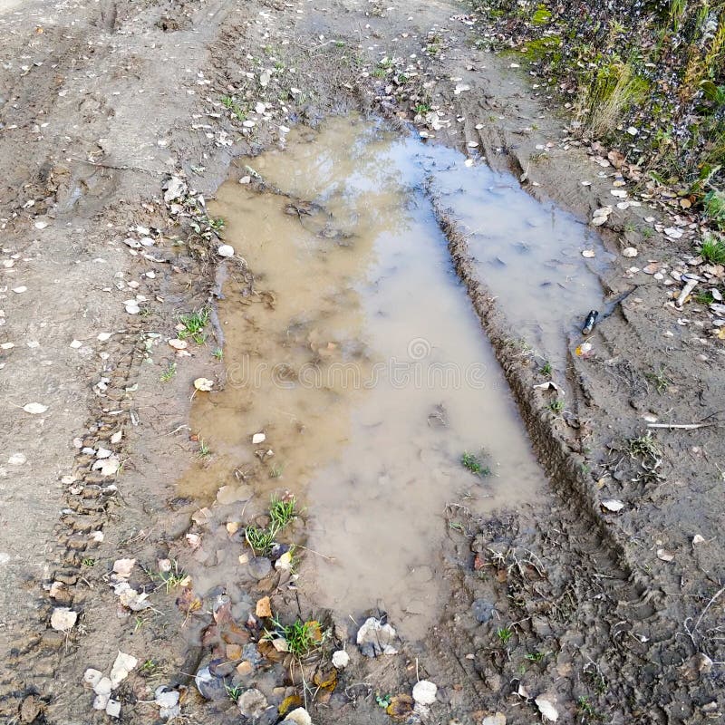 Autumn Dirty Puddle. Trace of the Tread of the Machine. in a Puddle are ...