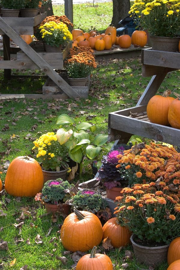 Autumn Display stock image. Image of colors, scarecrows - 1347253