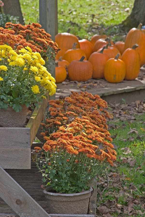 Autumn Display stock image. Image of colors, scarecrows - 1347253