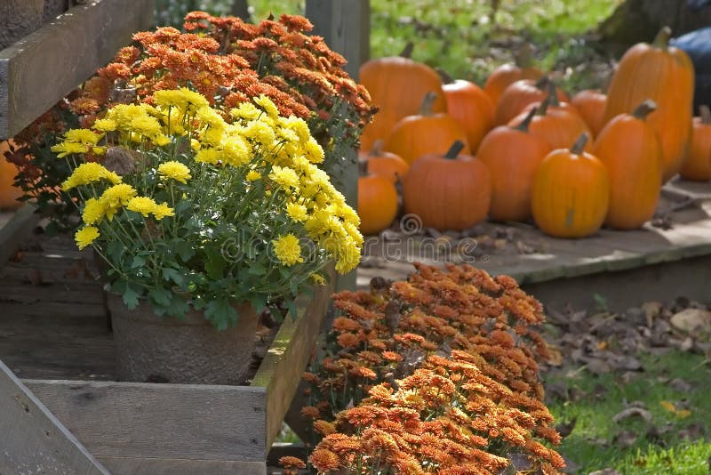 Autumn Display stock image. Image of colors, scarecrows - 1347253