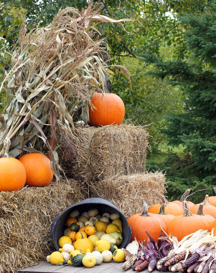 Image of Autumn stock image. Image of wheel, field, farm - 6615833