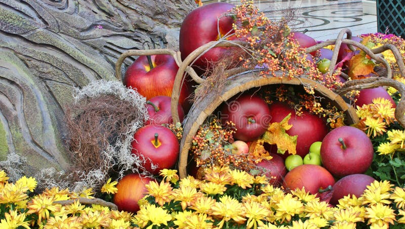 Autumn Display stock photo. Image of blooms, petals, season - 22054854