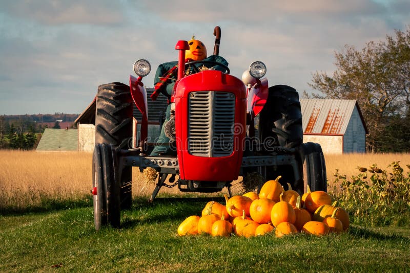 Autumn display stock photo. Image of canada, farm, fall - 77967788