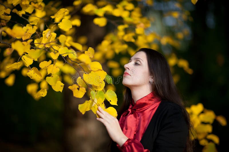 Autumn dreams stock image. Image of landscape, contemporary - 25047989