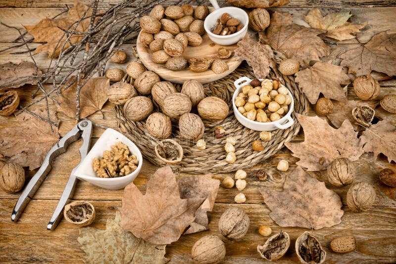 Autumn dried fruit stock image. Image of studio, fall - 44804033