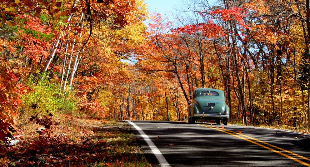 Autumn drive stock photo. Image of view, drive, season - 10974716