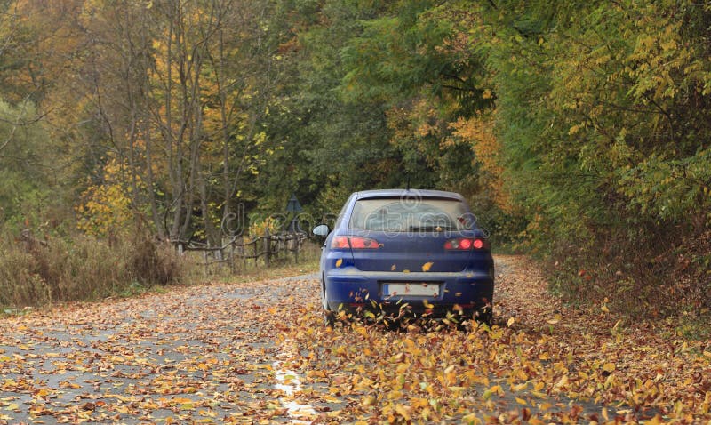 Autumn drive stock photo. Image of movement, scenics - 11471148