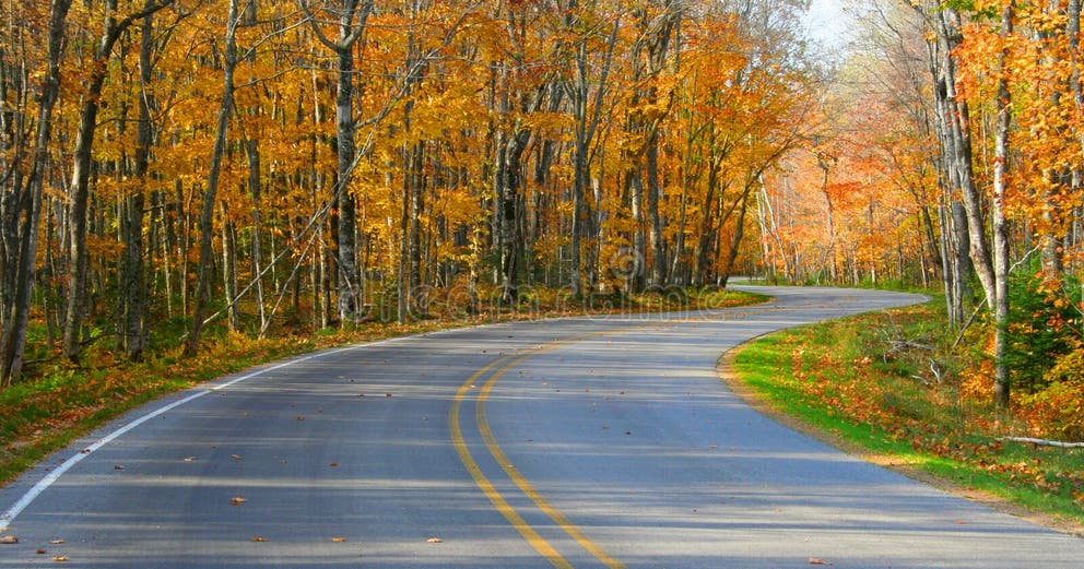 Autumn drive stock photo. Image of colour, park, highway - 1809960