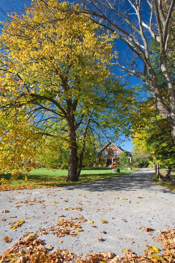 Autumn Drive Fall Colors Alaska Mountain Highway Transportation Stock ...