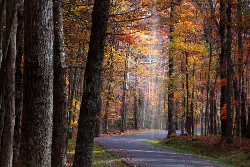 Autumn drive stock image. Image of peaceful, autumn, leaf - 25815775
