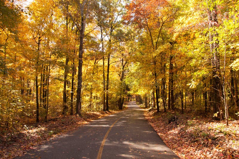 Autumn Drive stock photo. Image of fall, cave, leaf, national - 28686932