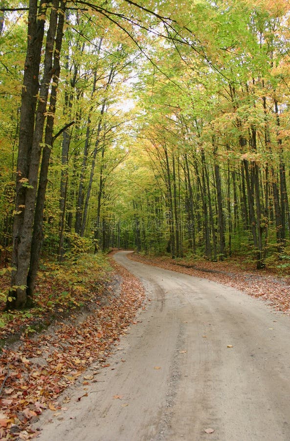 Autumn Drive stock image. Image of woods, remote, scenic - 4133505