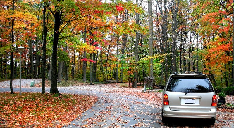 Autumn Drive stock photo. Image of beautiful, panorama - 6390394