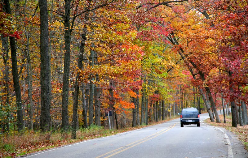 Autumn Drive stock image. Image of branches, foliage, peaceful - 6960717