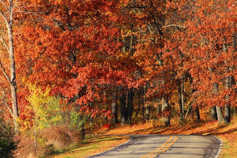 Autumn drive stock photo. Image of route, horizon, michigan - 59099264